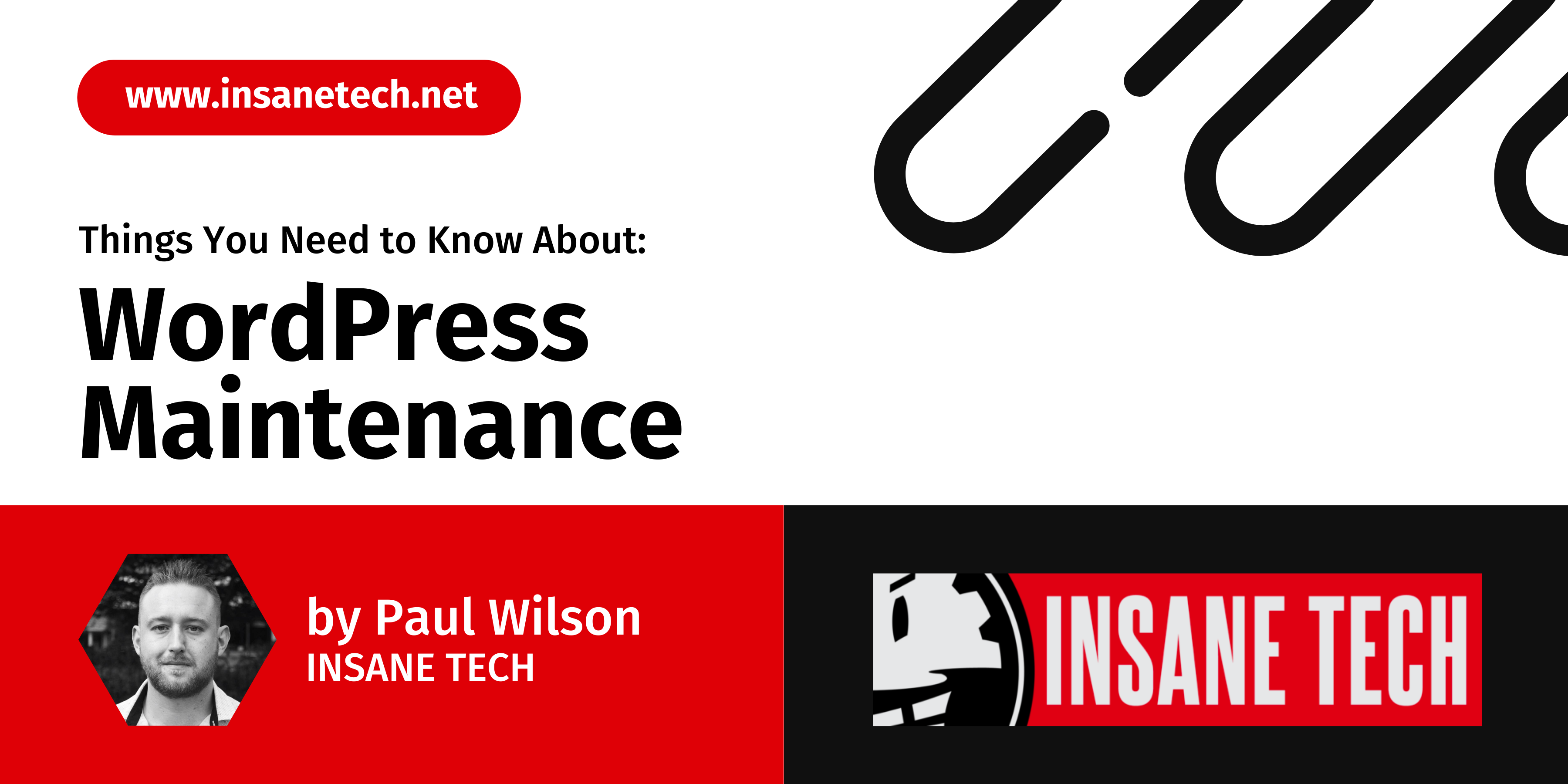 WordPress Maintenance | Insane Tech