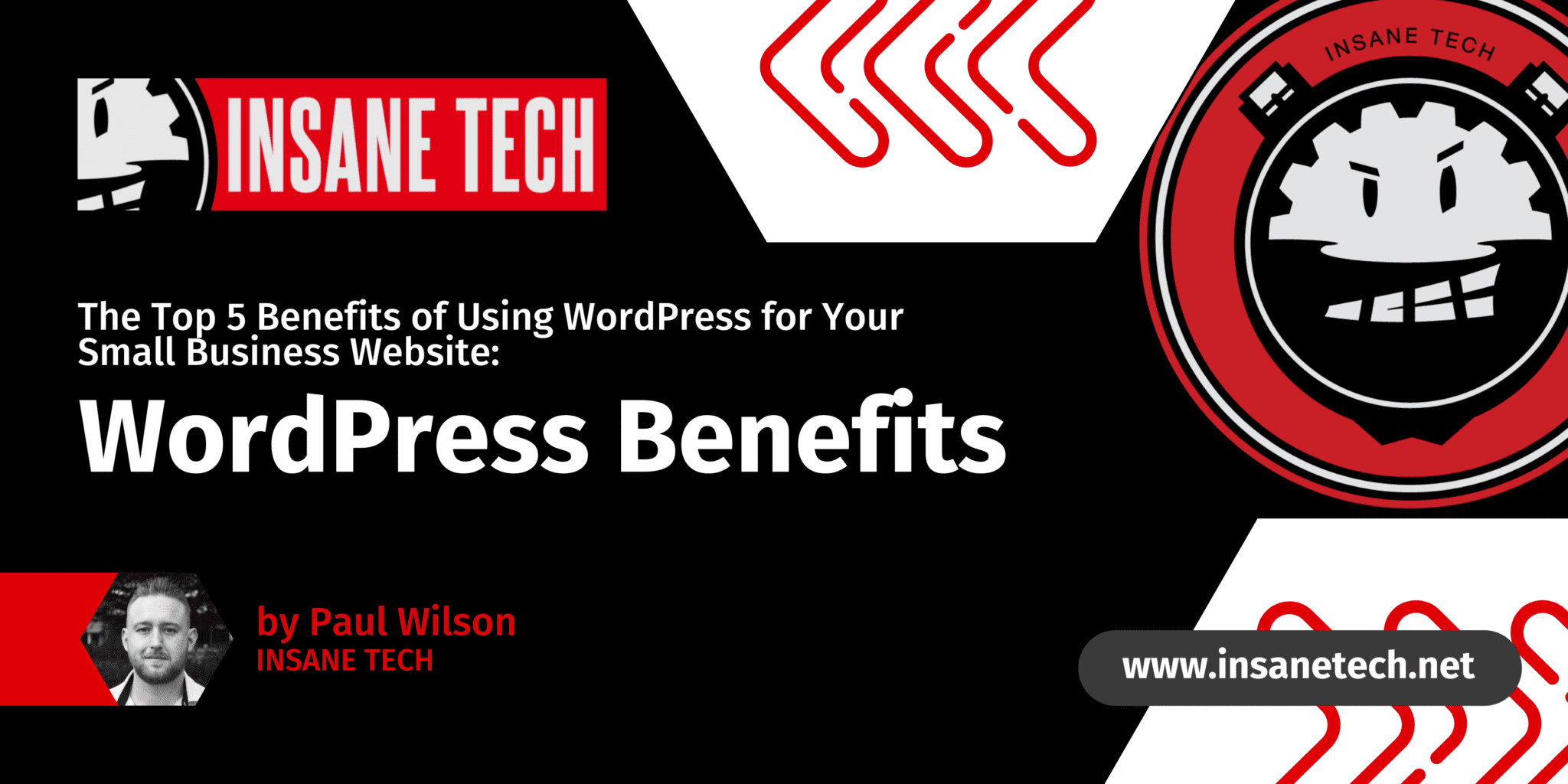 WordPress Benefits | Insane Tech